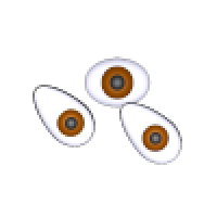 Brown Eye Cursors
