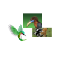 Bird Cursors