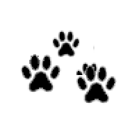 Cat Paw Cursors