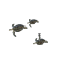 Turtle Cursors